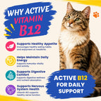 Appetite stimulant for pets