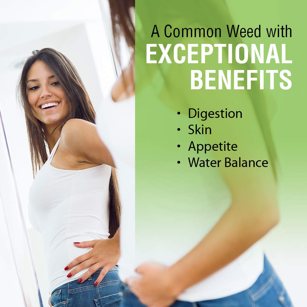 appetite support with SOLARAY Chickweed