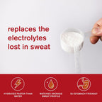 Apple cider electrolyte powder