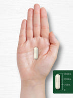 apple cider vinegar capsules for daily wellness