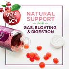 apple cider vinegar gummies for gut health