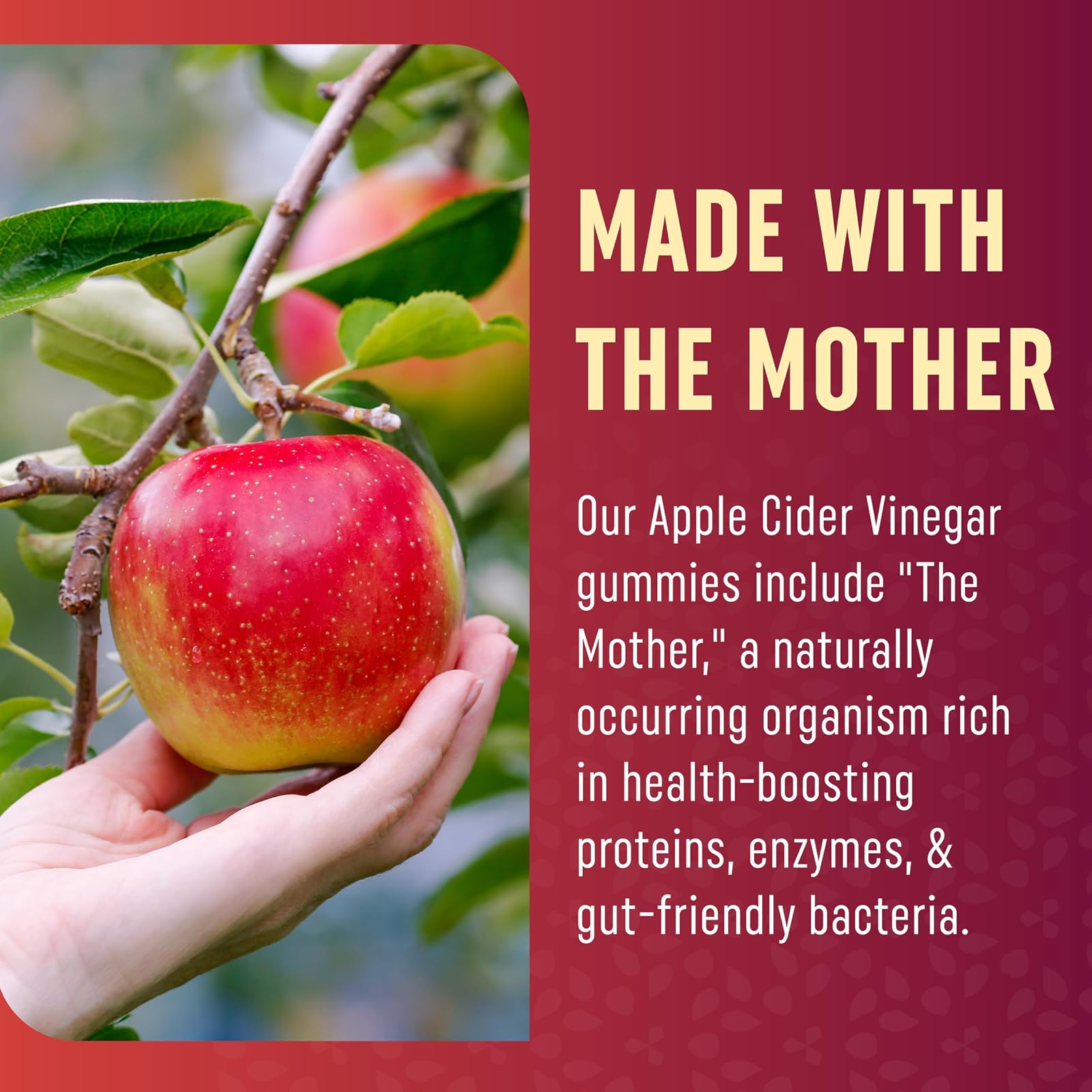 apple cider vinegar gummies for weight loss