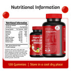 apple cider vinegar gummies with probiotics