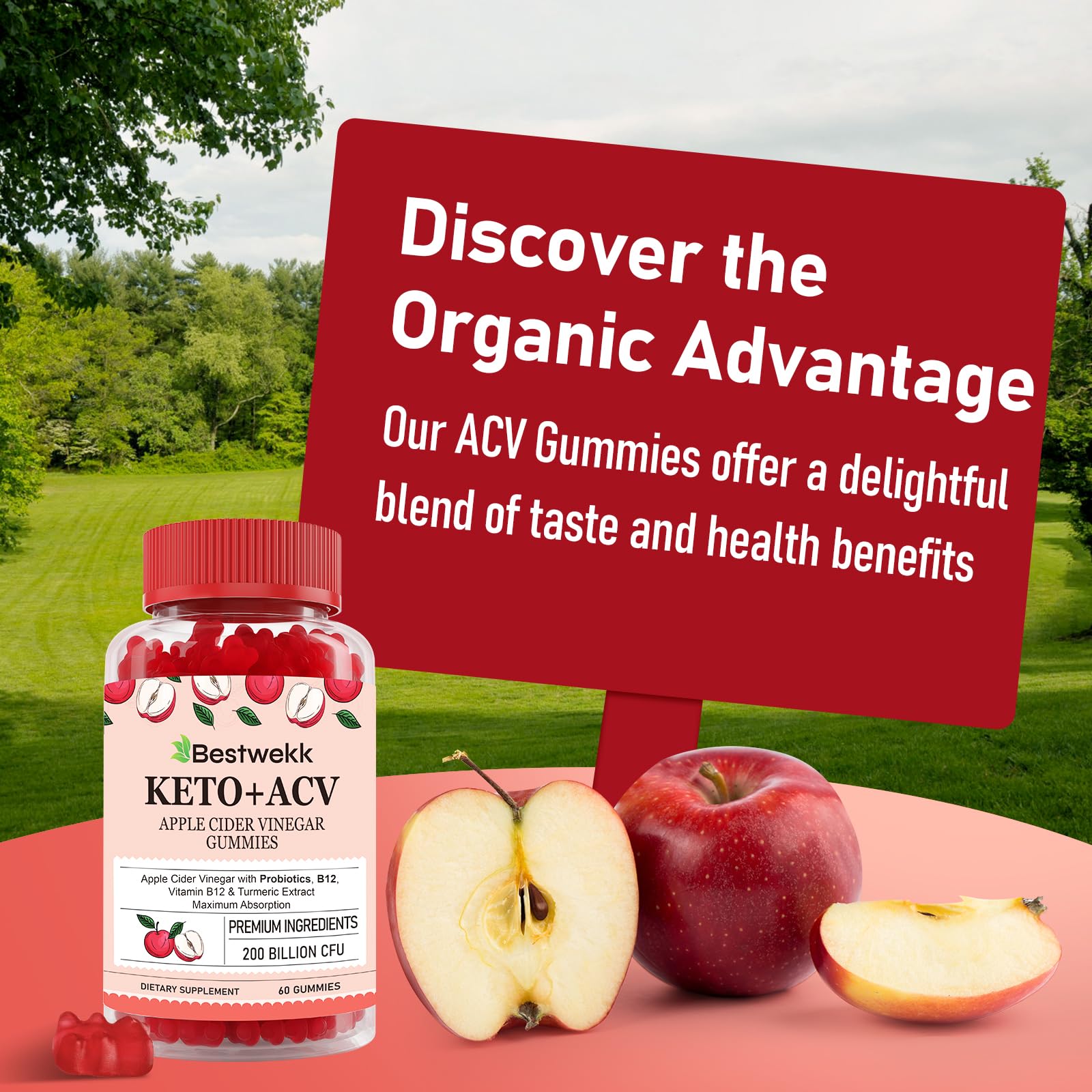 apple cider vinegar gummies with probiotics