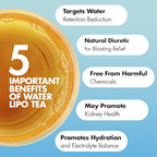 Apple cinnamon water lipo tea