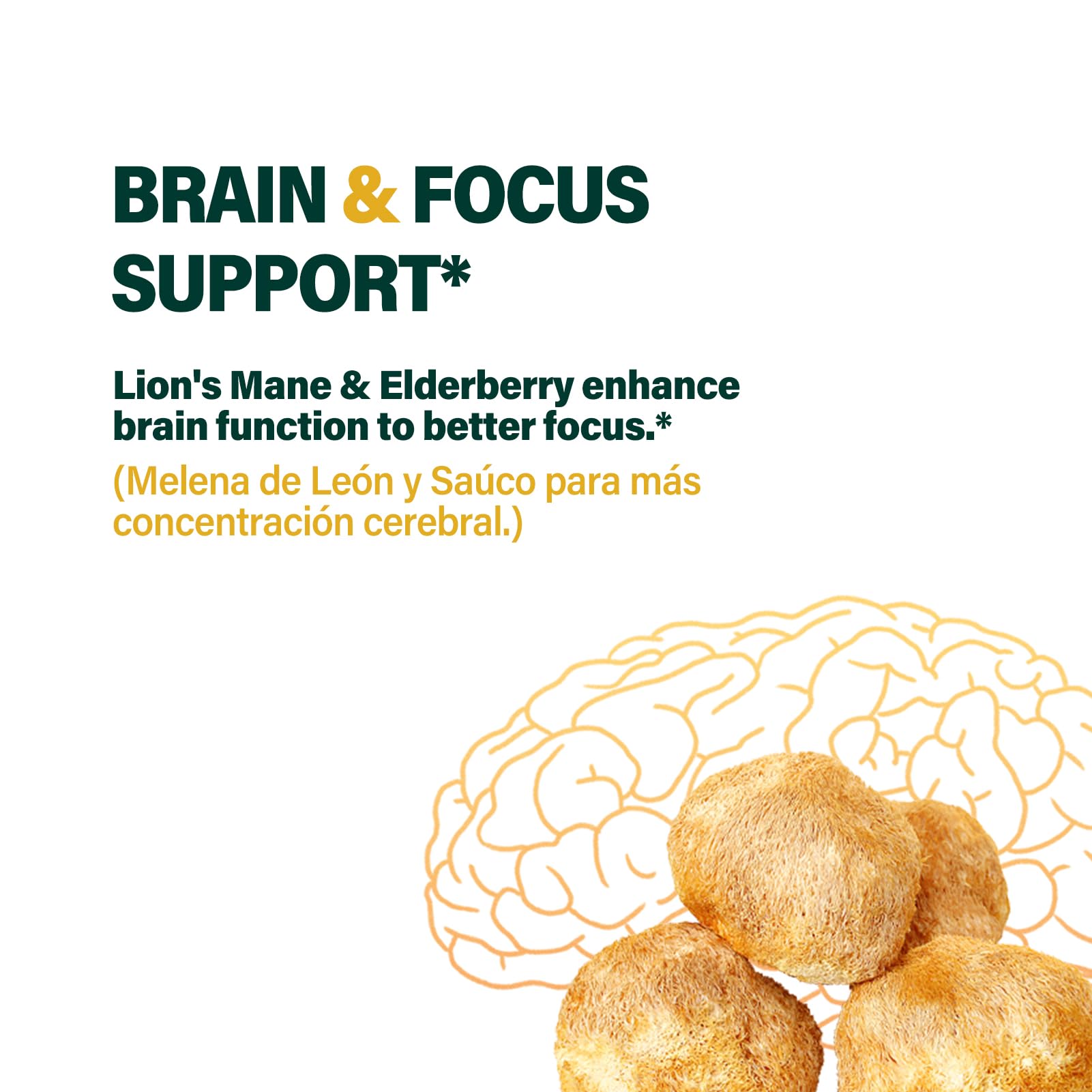 apple flavour Lion's Mane extract