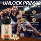 Arctic herb testosterone booster capsules