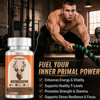 Arctic herb testosterone support