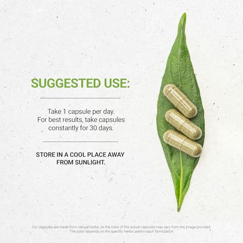 Arctium lappa herbal remedy