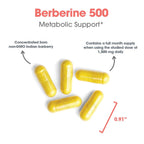 ARG Berberine for digestive health