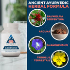 Arjuna and calcium for wellness support