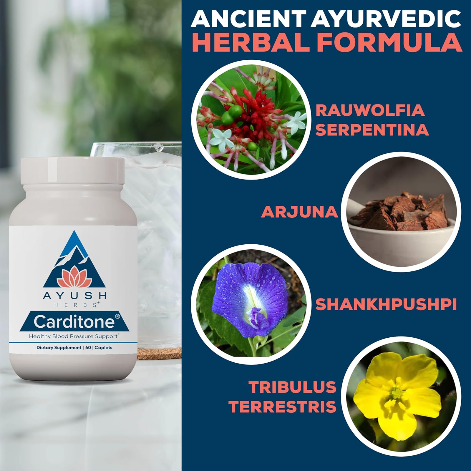 Arjuna and calcium for wellness support