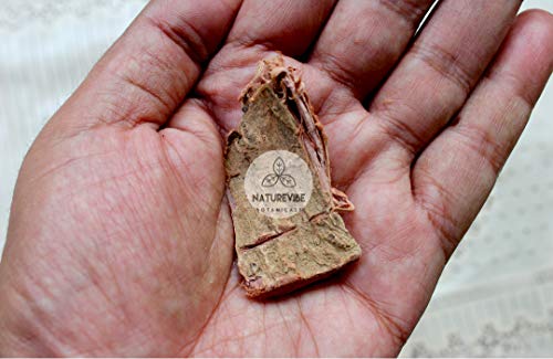 arjuna bark for traditional wellness