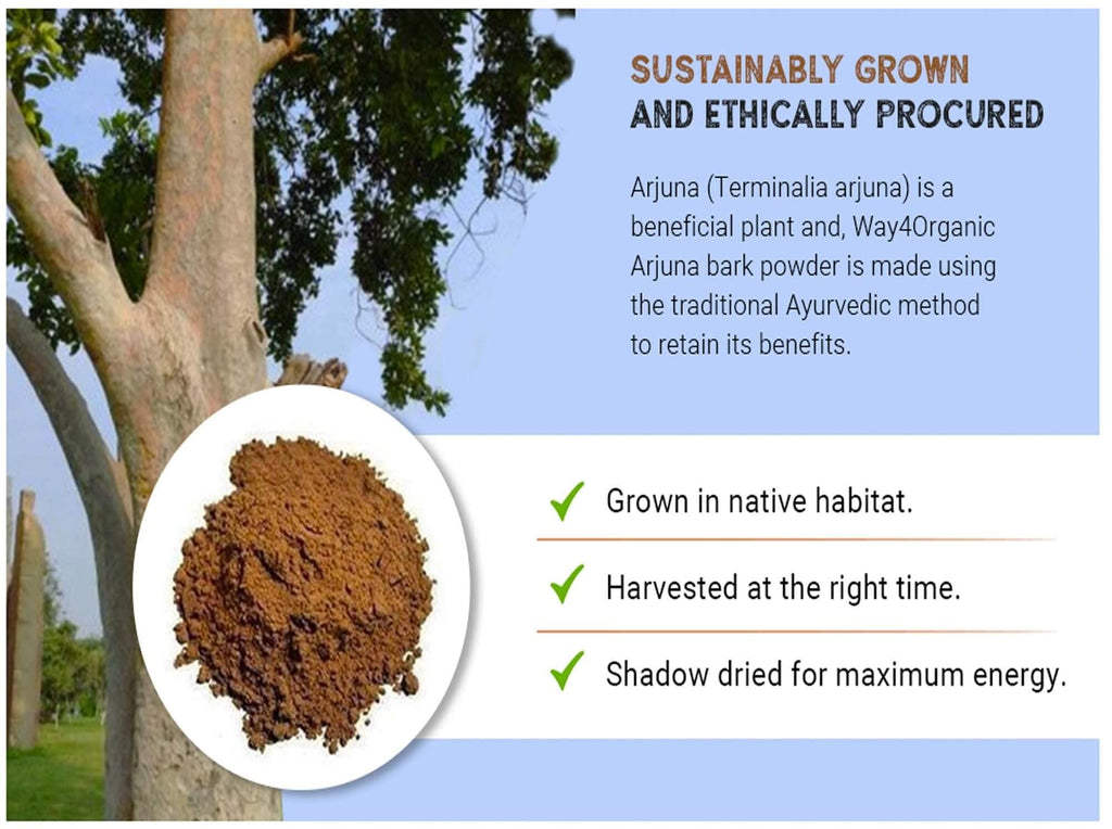 arjuna powder for daily wellness