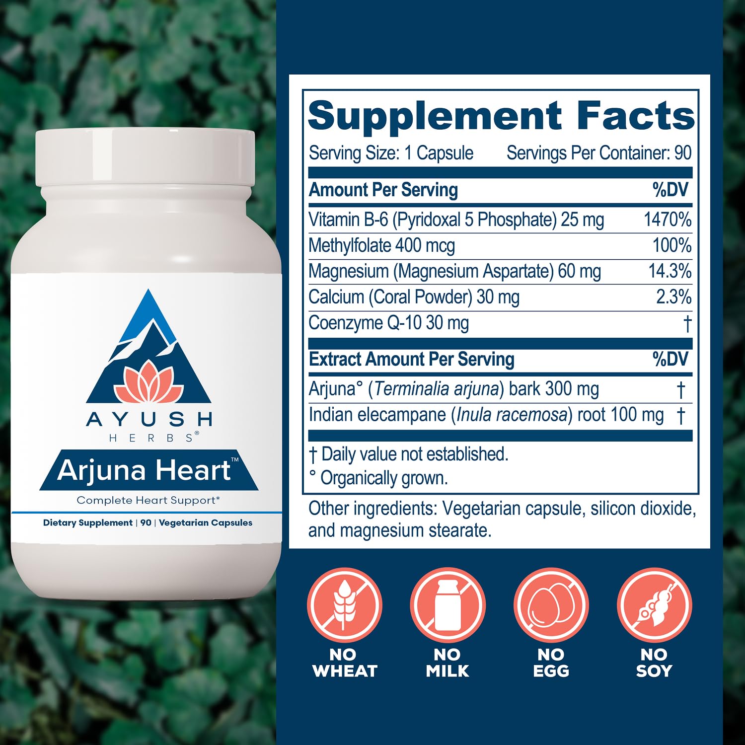 arjuna supplement for cardiovascular wellness
