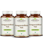 Arogyavardhini Vati herbal health tablets