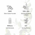 aromatherapy with oregano essential oil