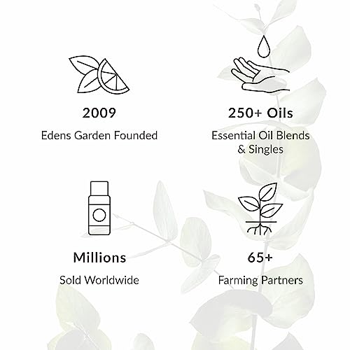 aromatherapy with oregano essential oil