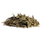 aromatic Arborvitae leaf for cooking