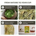 aromatic bay leaves tea infusion