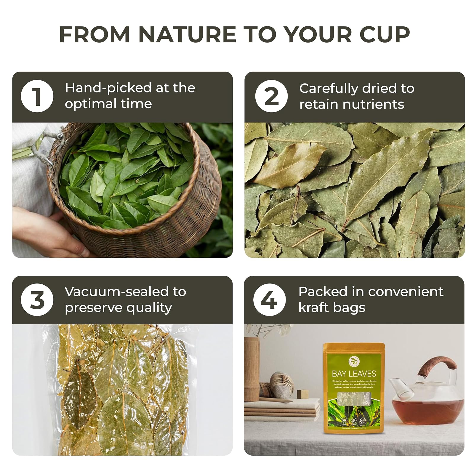 aromatic bay leaves tea infusion