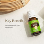 aromatic blend for stress relief