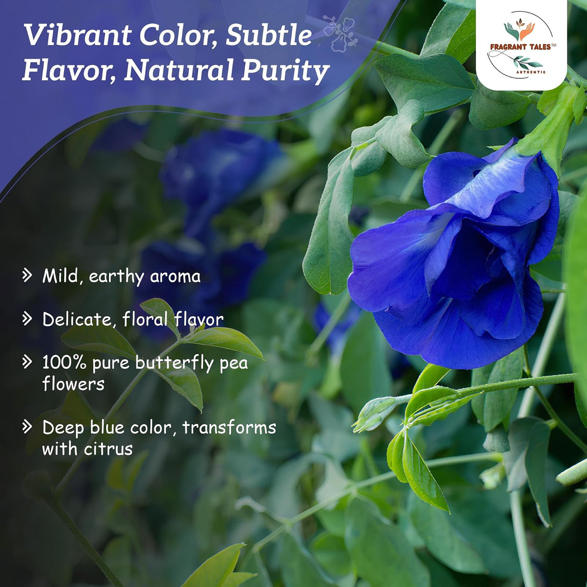 aromatic blue tea for wellness