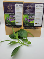 aromatic Blue Vervain tea experience