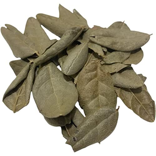 aromatic Boldo herbal tea for wellness