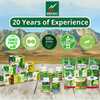 aromatic boldus herbal tea experience