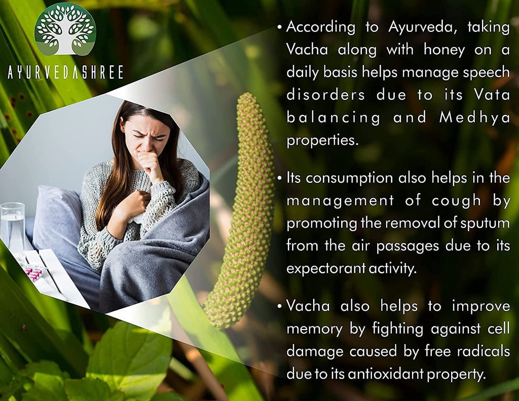 aromatic calamus powder for energy