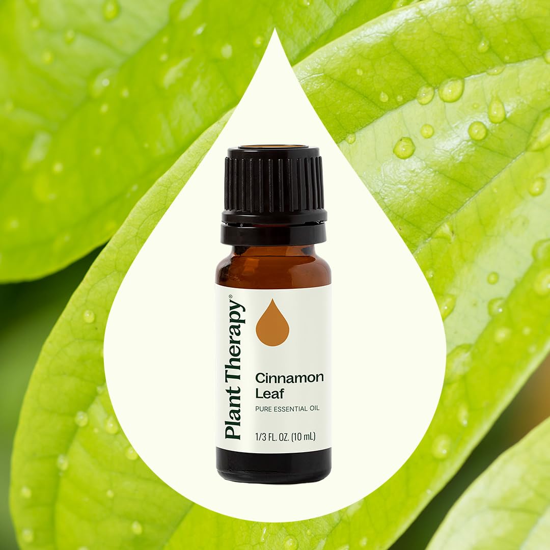 aromatic ceylon cinnamon essential oil