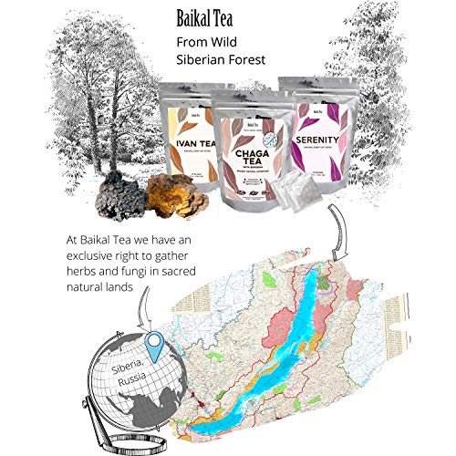 aromatic chaga tea for health
