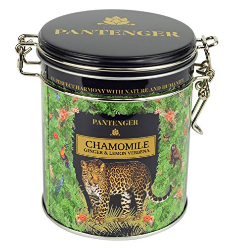 aromatic chamomile and ginger infusion