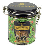 aromatic chamomile and ginger infusion