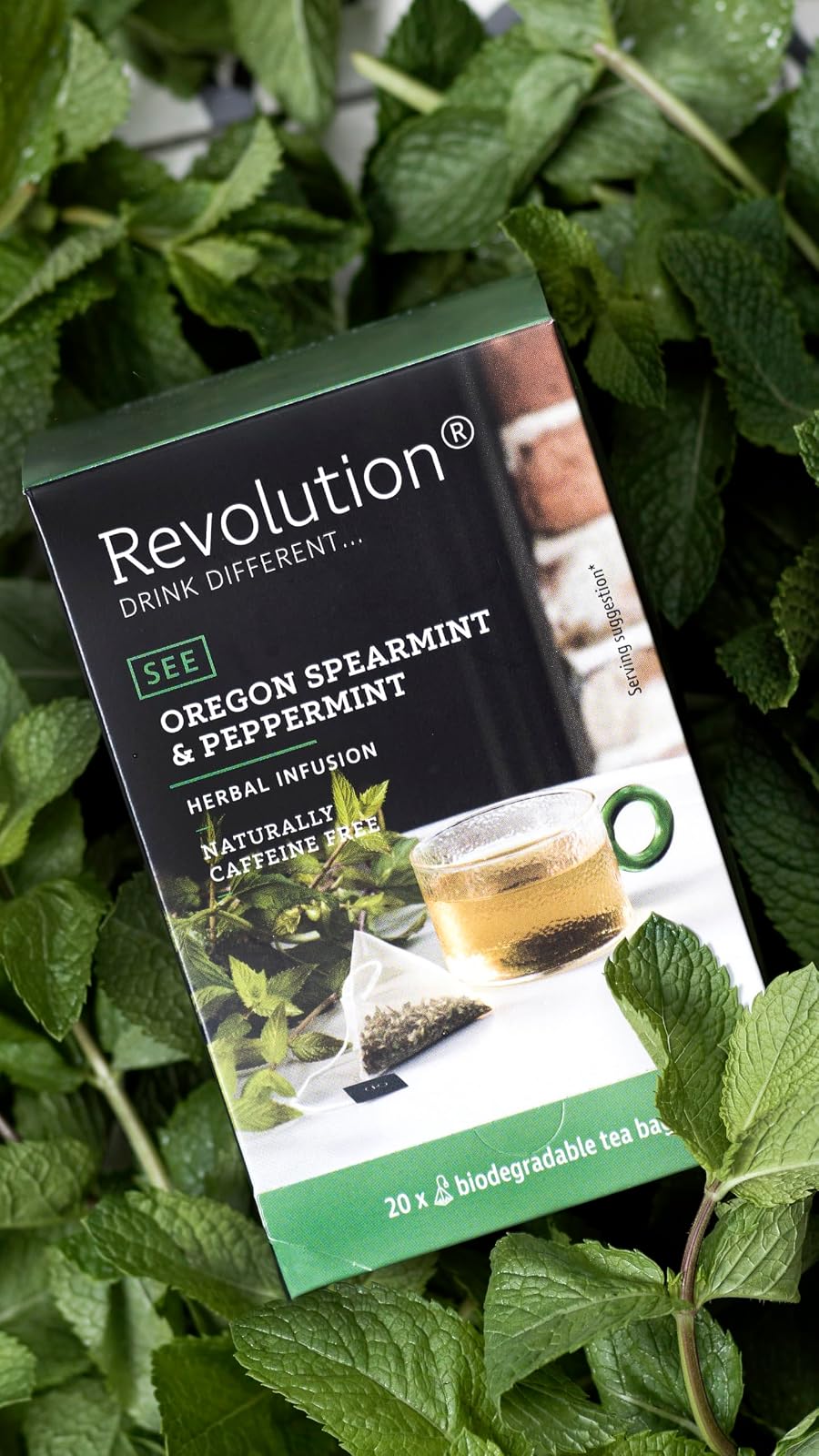 aromatic chamomile and mint infusion