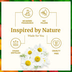 aromatic chamomile essential oil uses