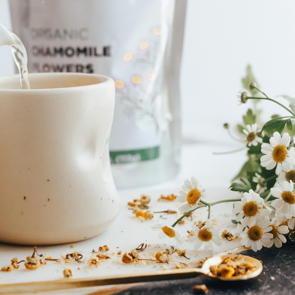 aromatic chamomile flowers for brewing
