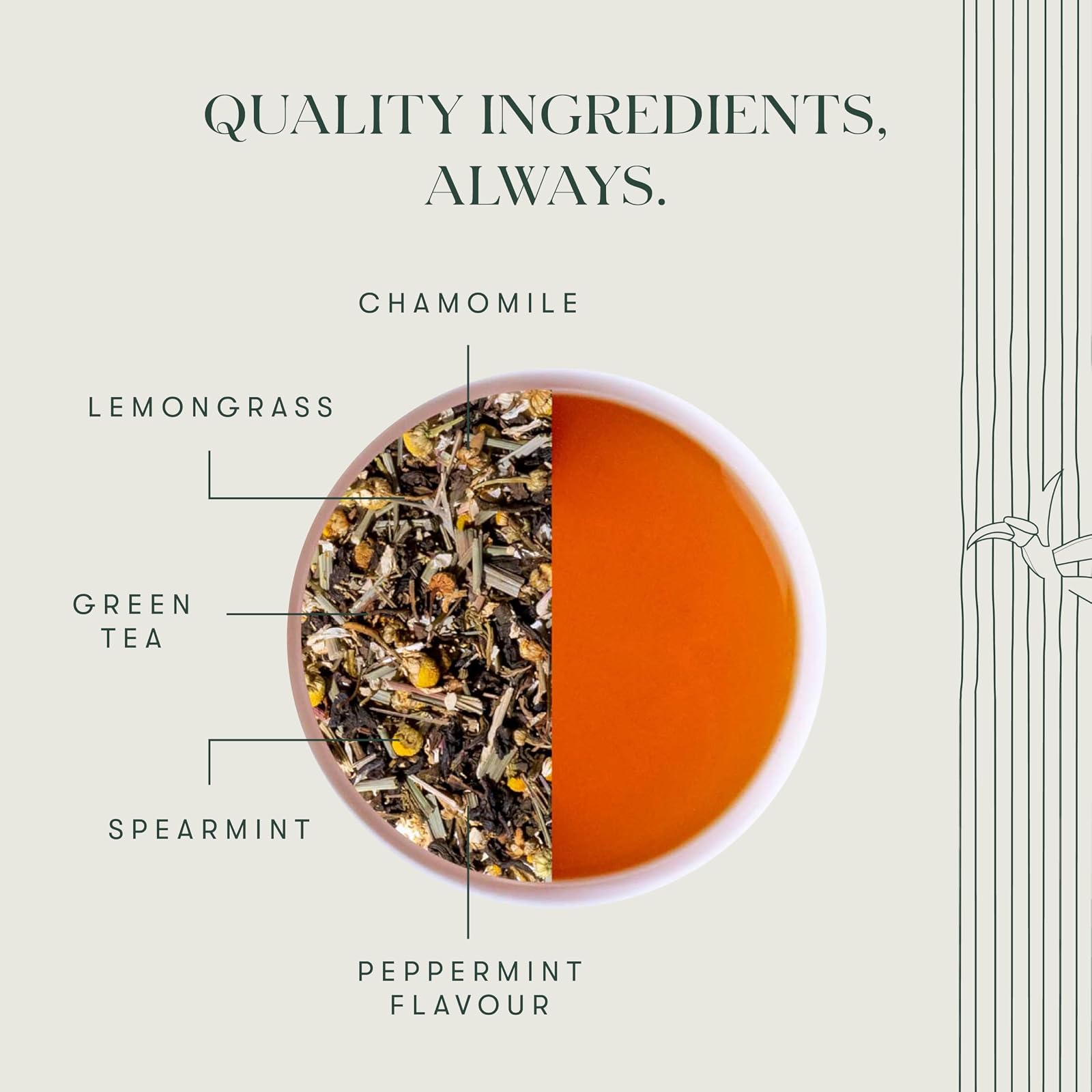 aromatic chamomile mint tea for sleep