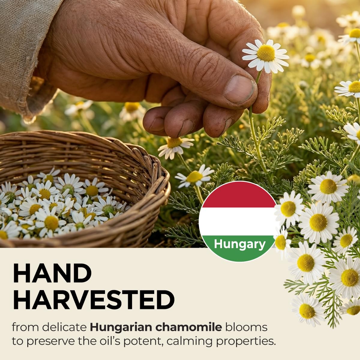 aromatic chamomile tea for relaxation