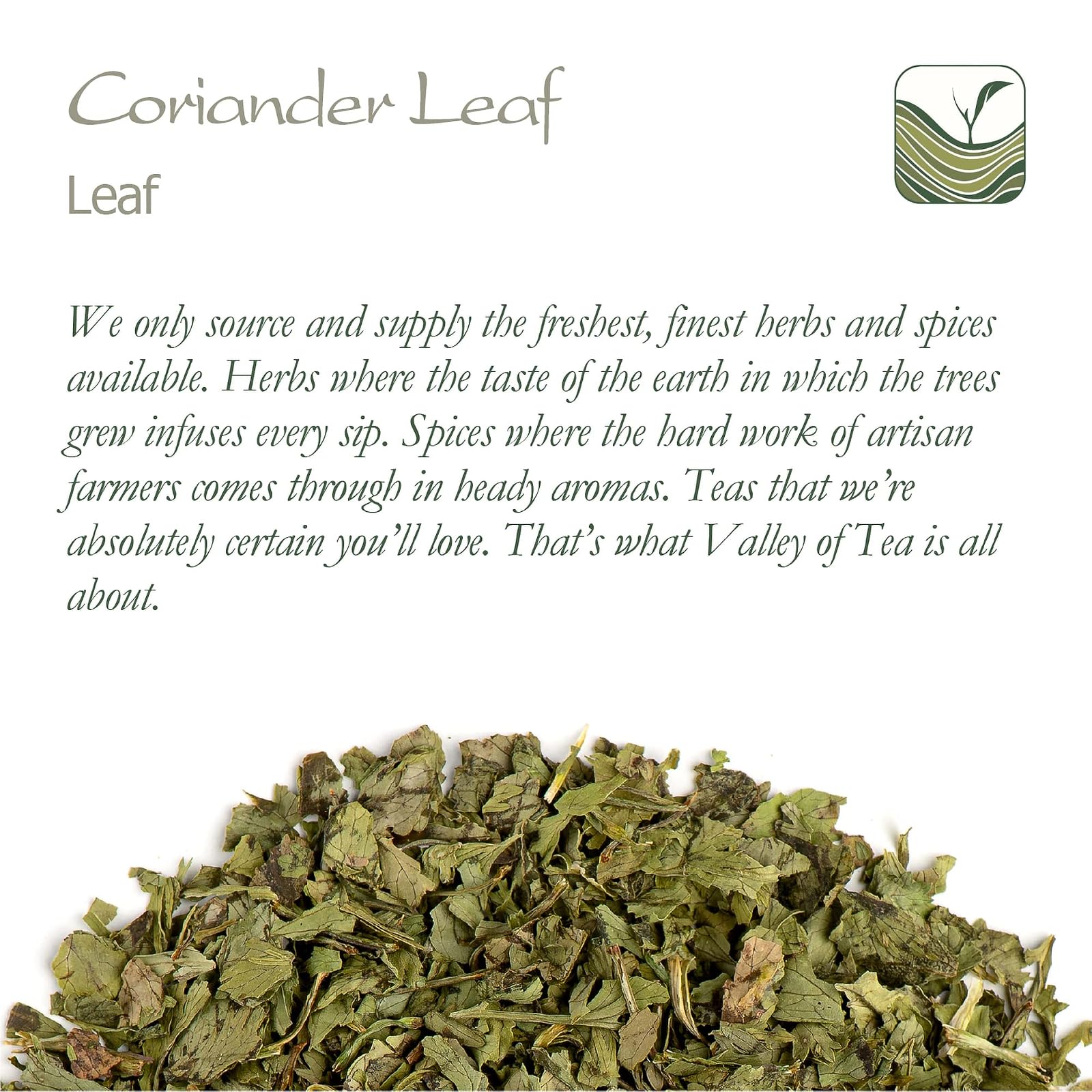 aromatic cilantro for detox tea