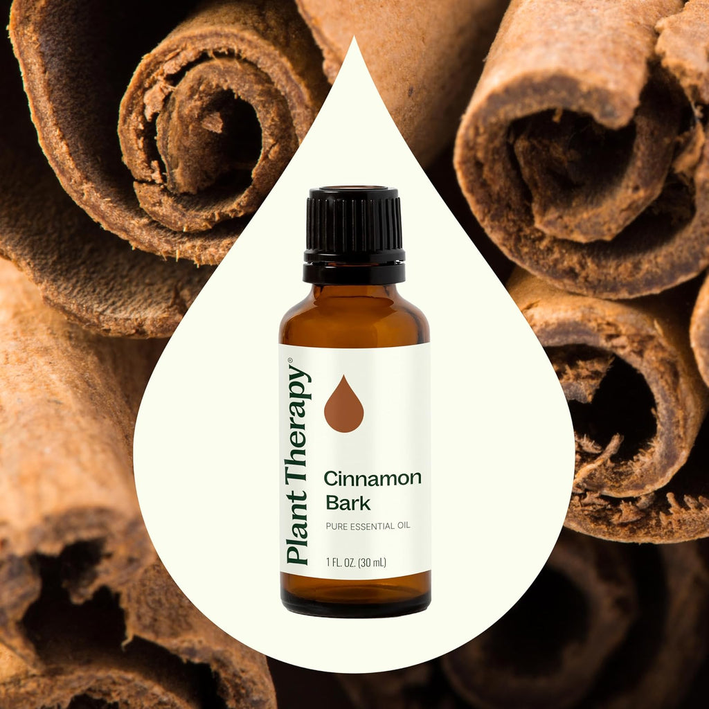 aromatic cinnamon bark for relaxation