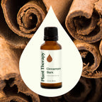 aromatic cinnamon bark for relaxation