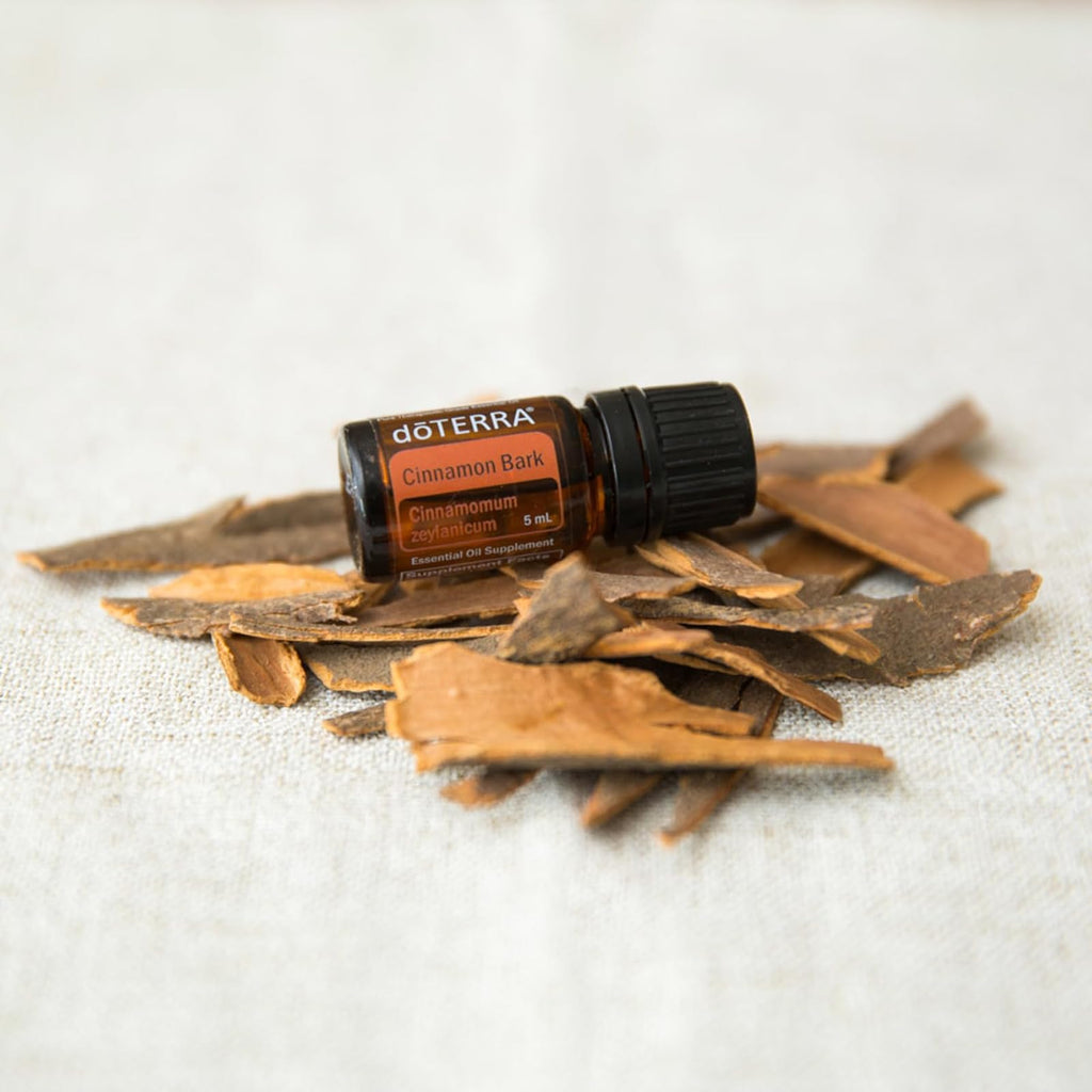 aromatic cinnamon essential oil blend