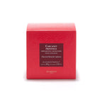 aromatic Dammann Freres tea