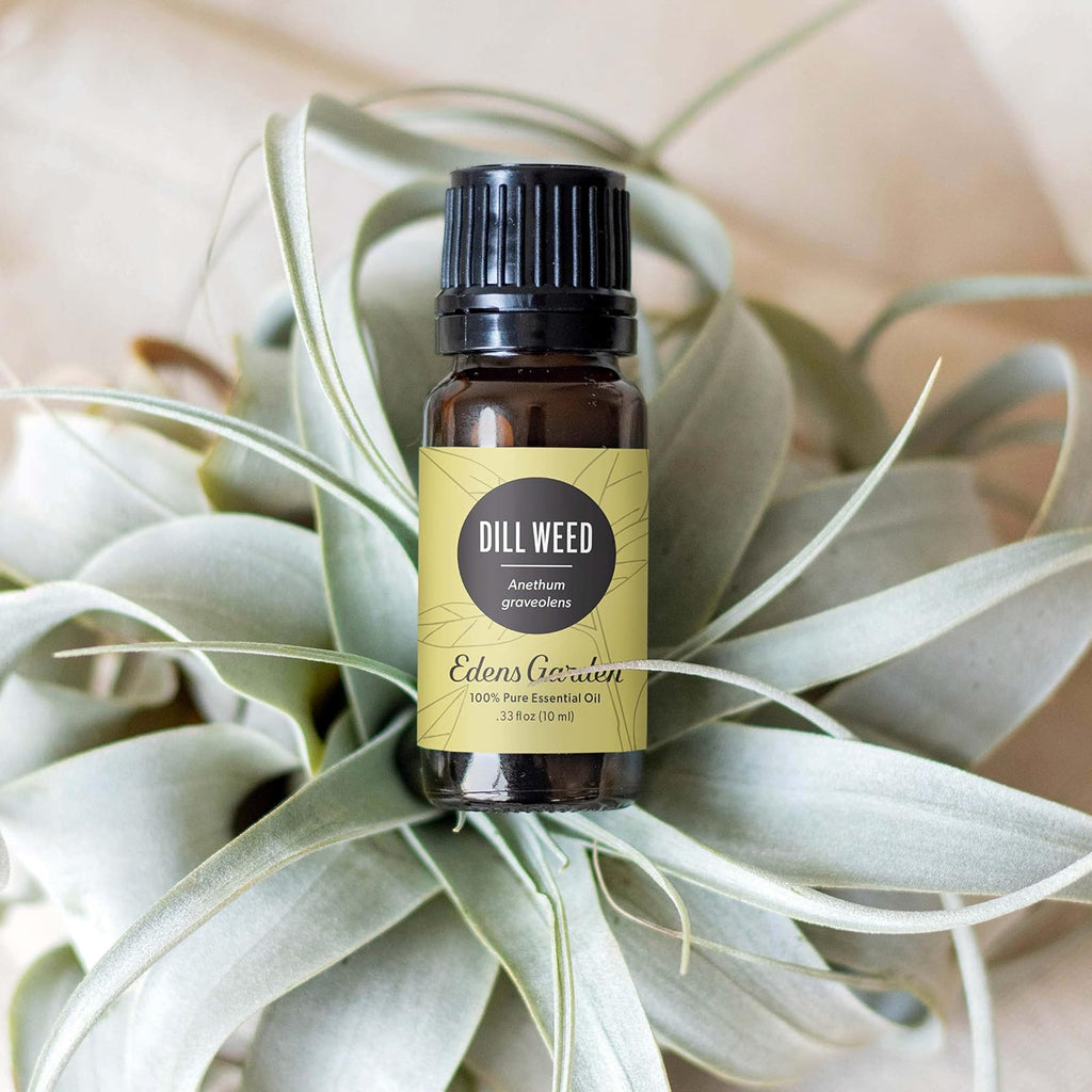 aromatic dill weed essential oil for relaxation