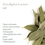 aromatic dried eucalyptus for relaxation
