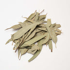 aromatic dried eucalyptus leaves benefits