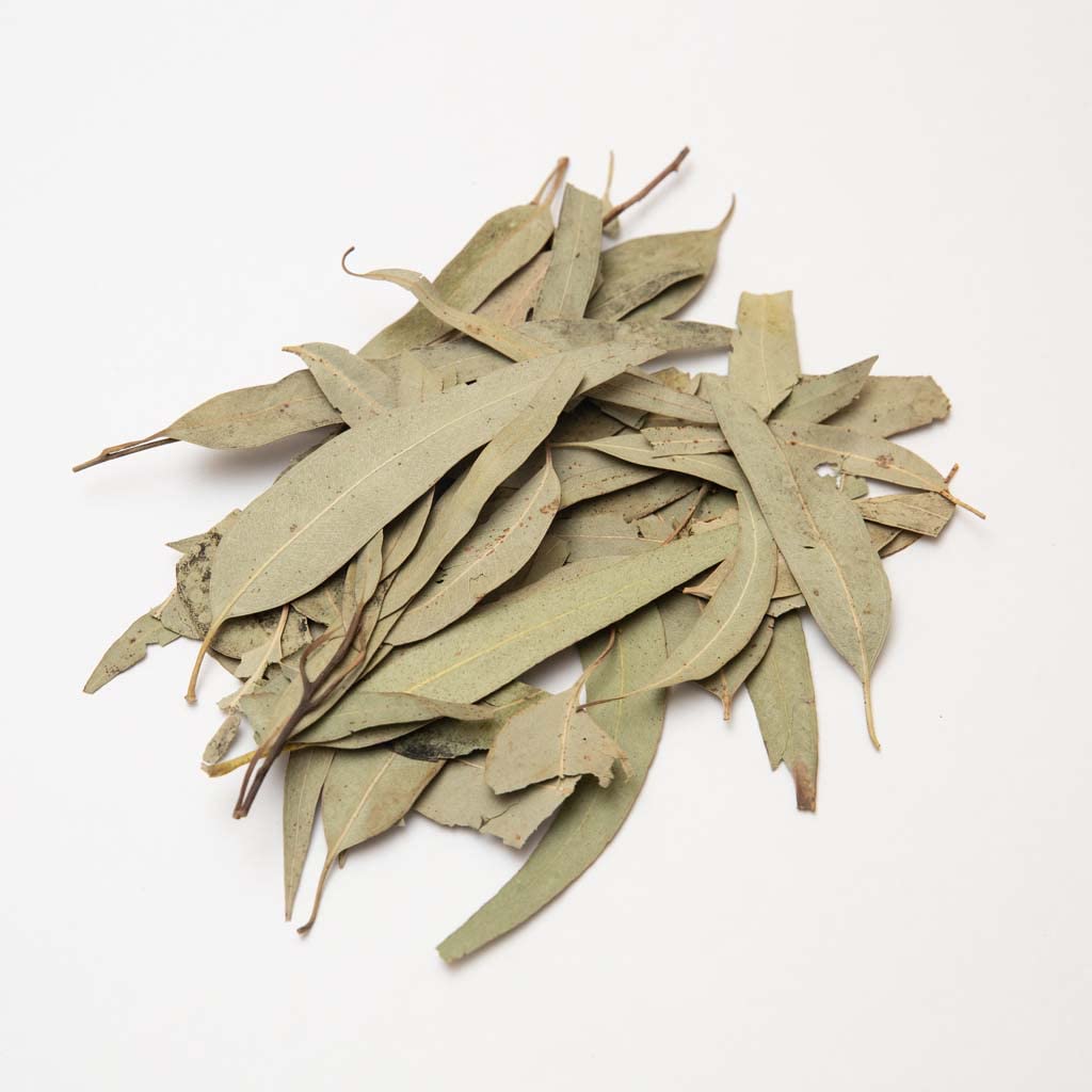aromatic dried eucalyptus leaves benefits