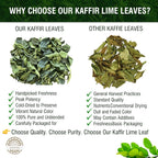 aromatic dried kaffir lime leaves